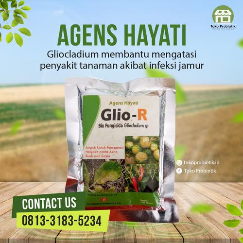 Jual Glio " Agens Hayati " - Kab. Karanganyar - tokoprobiotik | Tokopedia