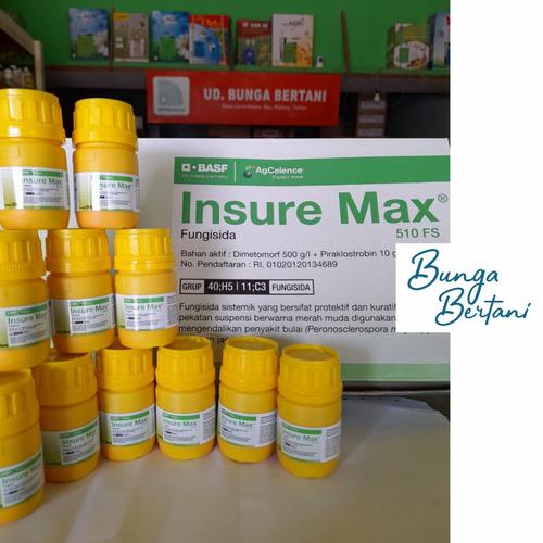 Jual Insure Max 510FS (25 ML) Fungisida Penangkal Bulai Pada Tanaman ...
