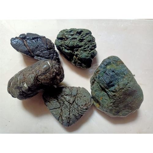 Jual BATU TURLY AQUASCAPE PALUDARIUM TERARIUM HIAS AQUARIUM AKUARIUM ...