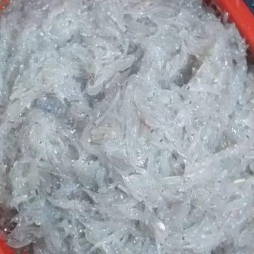 Jual ikan teri nasi basah segar 250 gr - 200gr - Kota Bekasi - Kitchen ...