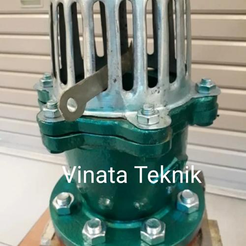 Jual Foot Valve 5 inch DN 125 MIZU Cast Iron JIS 10K Flange Foot Klep ...