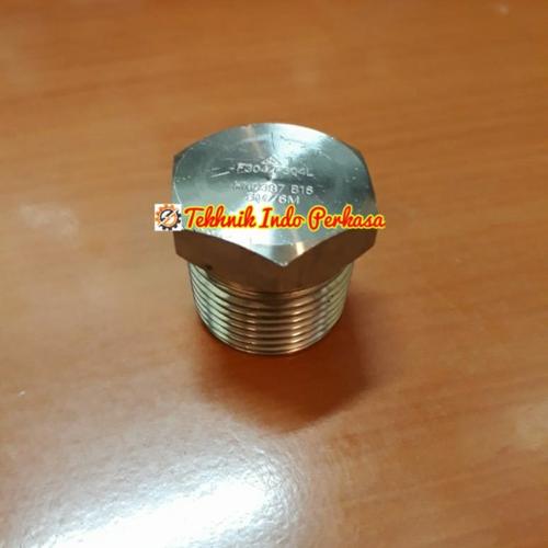 Jual Hex Plug SS316 Class 3000 Drat 1/4" inch / Hex Plug SS316 #3000 ...