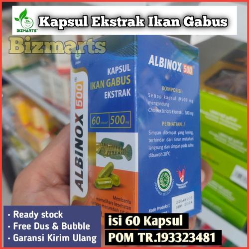 Jual Albinox Kapsul Albumin Ekstrak Ikan Gabus Kutuk Asli Original BPOM - Kab. Bekasi - Bizmarts ...