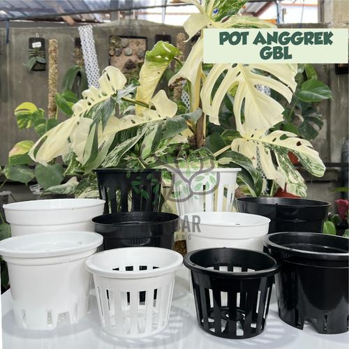 Jual Pot Anggrek GBL Warna Hitam Putih Pot Tebal Berbagai Macam Ukuran ...