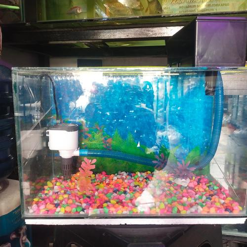 Jual aquarium satu set ukuran 40×20×25 full lengkap aksesoris - Jakarta ...