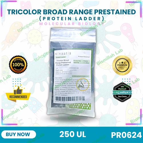 Jual Tricolor Broad Range Prestained Protein Ladder, 5 - 245 kDa, 250 ...