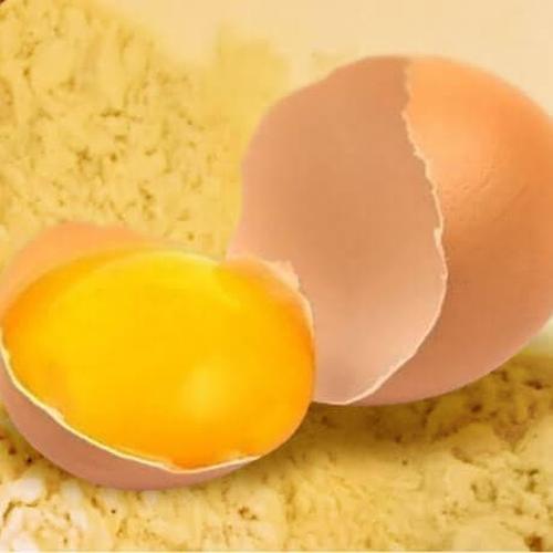 Jual Egg Yolk Powder 100 GRAM/ Tepung Kuning Telur 100 GRAM - Jakarta ...