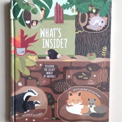 Jual Buku Anak Import What's Inside Discover The Secret World Of ...