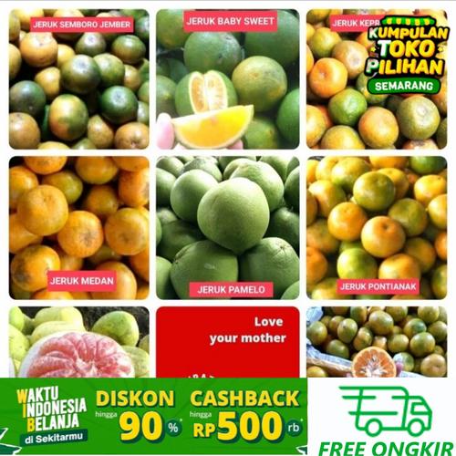 Jual Buah Jeruk Lokal Brastagi Medan Pontianak Bali Keprok Semboro ...