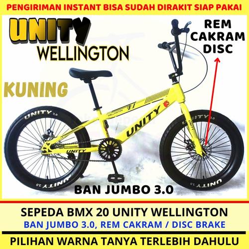 Jual Sepeda Anak BMX 20 Unity Wellington Ban Jumbo Rem Cakram Disc Brake - Hitam - Kota ...
