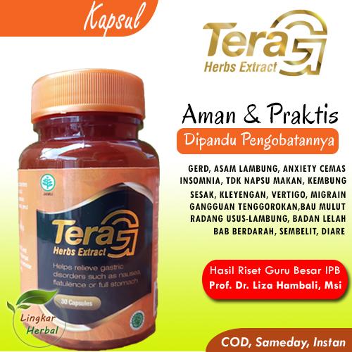 Jual Tera G Kapsul Ekstrak Herbal untuk Asam Lambung GERD Anxiety ...