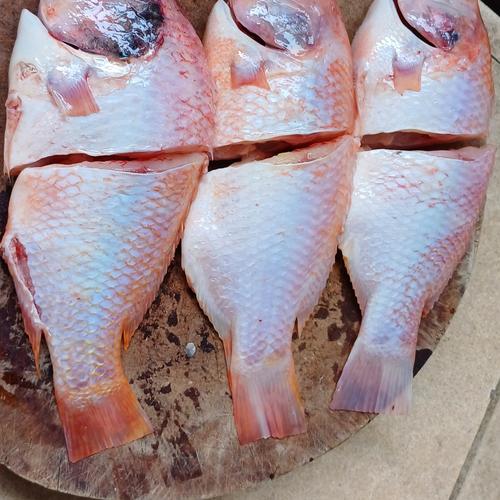 Jual Ikan Nila segar timbang hidup 1 kilo - Jakarta Timur - BonaPork ...