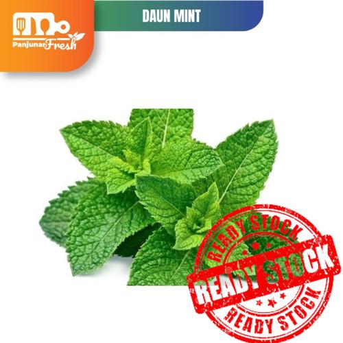 Jual DAUN MINT SEGAR FRESH 250 GRAM - Kab. Bandung - PANJUNAN FRESH ...