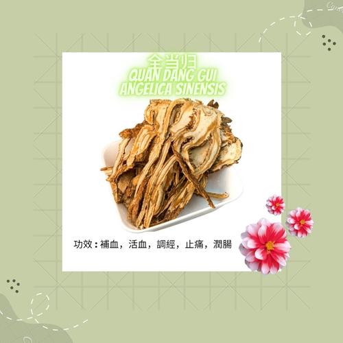 Jual quan dang gui tong kui tangkuei chinese angelica roots 100 g gr ...