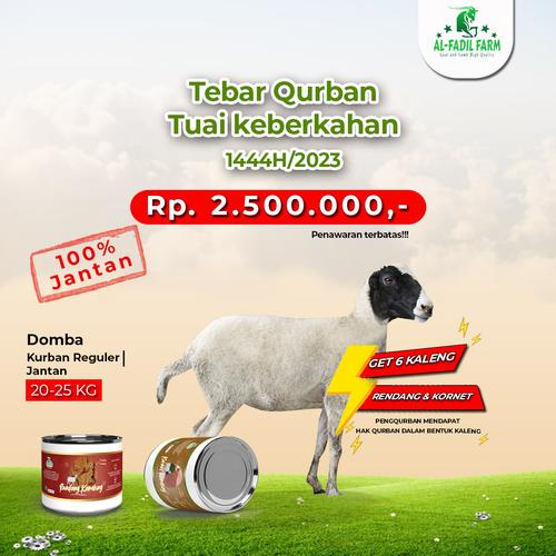 Jual Hewan Qurban Domba / Kambing Kurban Bobot -/+ 25 Kg Jantan - Full Distribusi - Jakarta ...