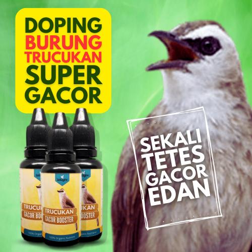 Promo Vitamin Burung Trucukan Ropel / Doping Trucukan Lomba / Vitamin ...