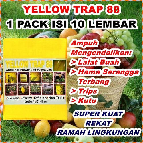 Jual Yellow Trap Perangkap Hama Lem Perekat Lalat Buah Likat Kuning ...