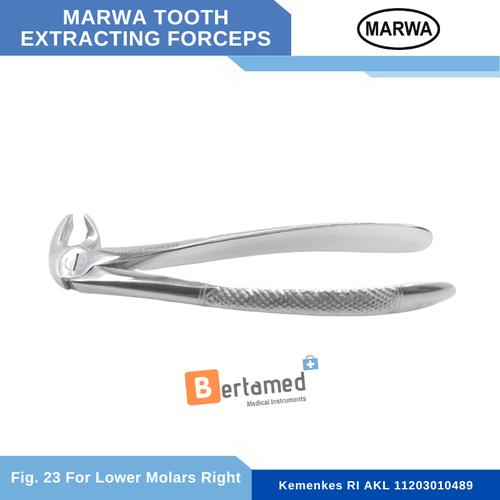 Jual Tooth Extraction Forceps Fig. 23 / Tang Cabut Gigi Dewasa - Kota ...