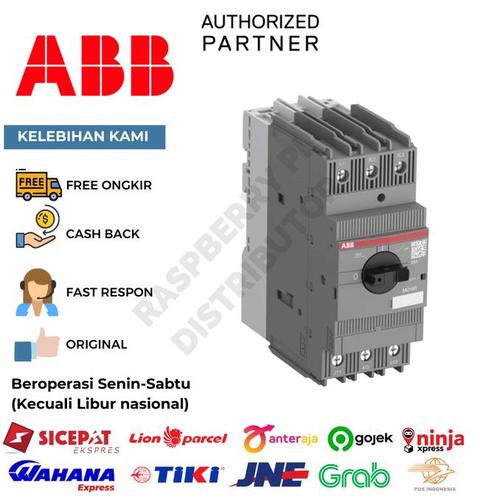 Jual Abb Manual Motor Starter Magnetic Mo165-25 1Sam461000R1013 ...