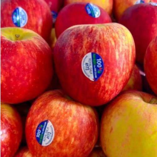 Jual Apel Royal Gala 1kg - Kota Cimahi - JURAGAN BUAH PREMIUM | Tokopedia