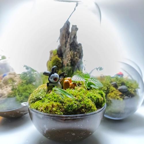 Jual Poke Ball | Pokemon Terrarium for Kids - C - Jakarta Timur ...