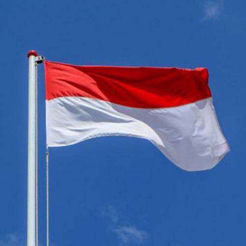 Jual Bendera Indonesia Bendera Merah Putih Bagus HUT RI - M - Kota ...