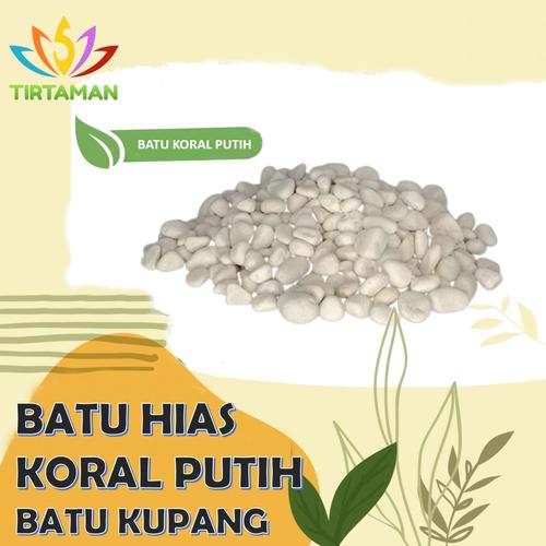 Jual Batu Koral Putih / Batu Taman / Batu Hias Kupang / Batu Sikat - 2 ...