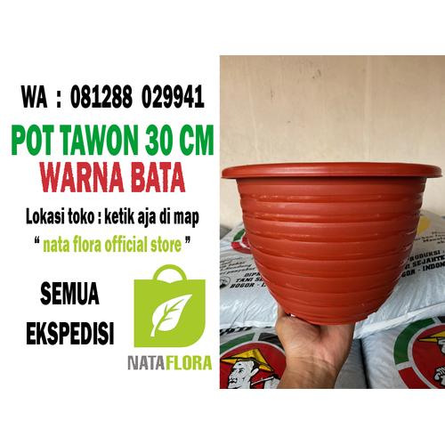 Jual pot 30 cm untuk tanaman hias dan bunga model tawon warna bata ...