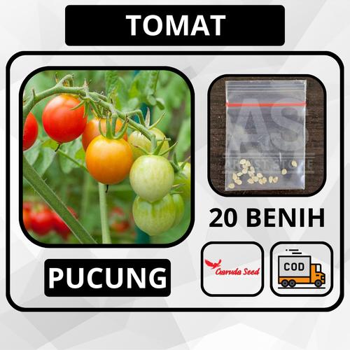 Jual 20 Butir - TOMAT Rampai Unggul PUCUNG Garuda Seed Bibit Tanaman ...