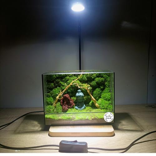 Jual The Silent Hills| Dekstop Terrarium| Closed| mini Terra| premium ...
