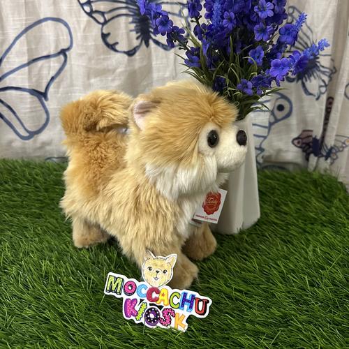 Jual Boneka anjing mini pomeranian / little pomeranian puppy doll ...