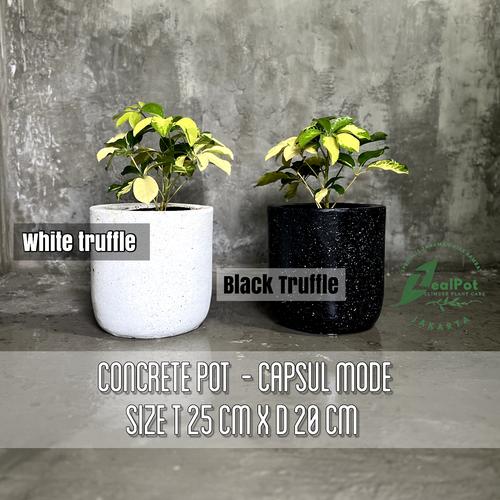 Jual POT TANAMAN CONCRETE SEMEN CAPSULE MODE REGULAR SIZE - WHITE ...