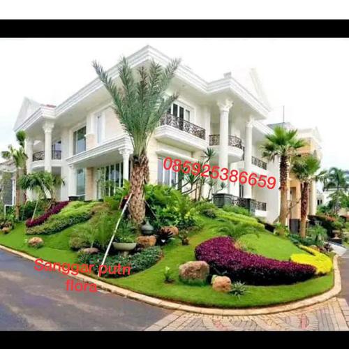Jual TAMAN RUMAH POHON PELINDUNG PALM KENARI PUTI,PANDAN BALI,BATU ...