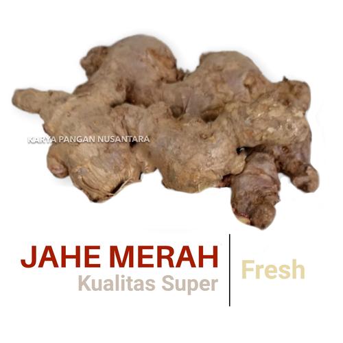 Jual JAHE MERAH 1 KG JAHE MERAH SEGAR FRESH KUALITAS SUPER PACK 1000 ...