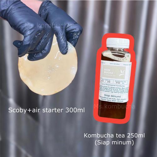 Jual scoby, air starter 300ml dan kombucha tea 250ml - Kota Surabaya ...
