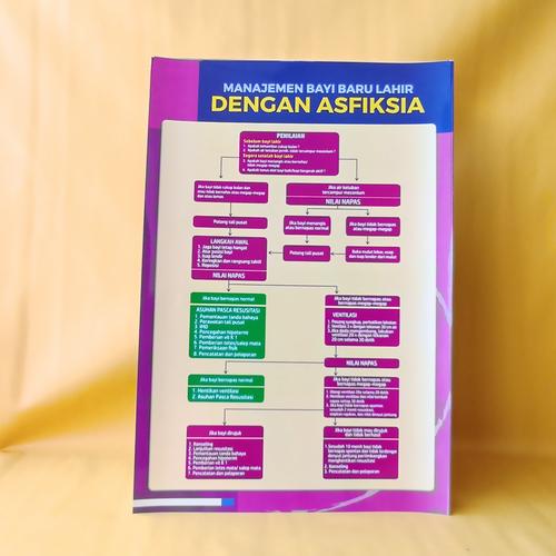 Jual Poster APN | Poster Manajemen Bayi Baru Lahir Asfiksia | Poster ...