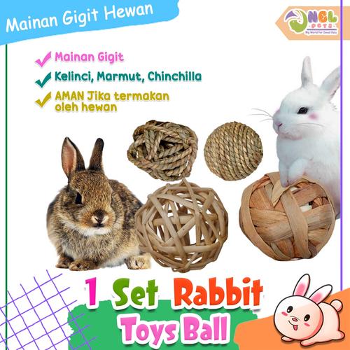 Jual 4 SET BALL FOR RABBIT, Mainan Gigit kelinci marmut chinchilla ...