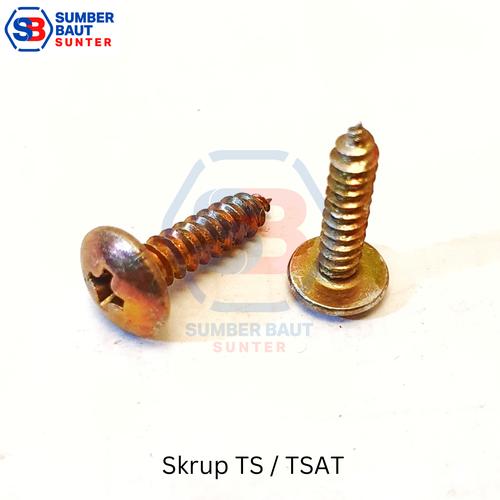 Jual 6 x 1/2 Skrup T TS TAB TSAB TSAT Kuning Tapping - per 100 pcs ...