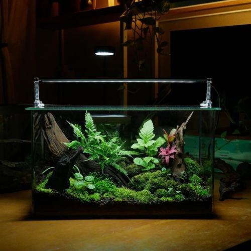 Jual Naturescape | Terrarium Lumut Kayu Aquaristik - Jakarta Timur ...