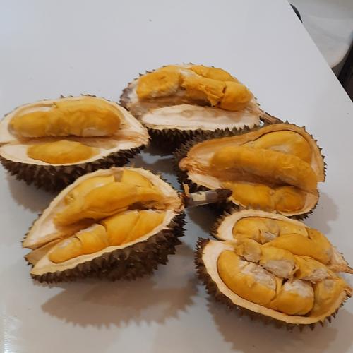 Jual Durian Utuh Bawor Asli Kuning Legit Manis - kuning orange, gurih ...