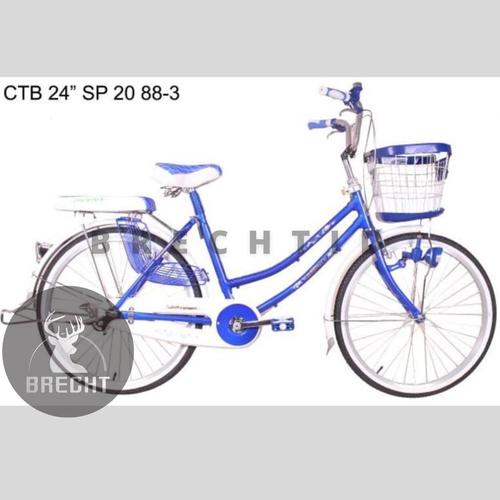 Jual Sepeda Remaja Dan Dewasa Ctb City Bike Mini Phoenix 88-2/88-3 ...