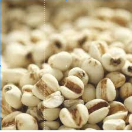 Jual HANJELI BIJI JALI JALI ANJELI JELAI PEARL BARLEY NATURAL MAKANAN ...