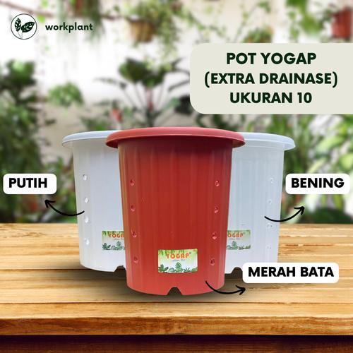 Promo Pot Yogap (Extra Drainase) - Ukuran 10 Pot Bunga Tanaman Hias ...