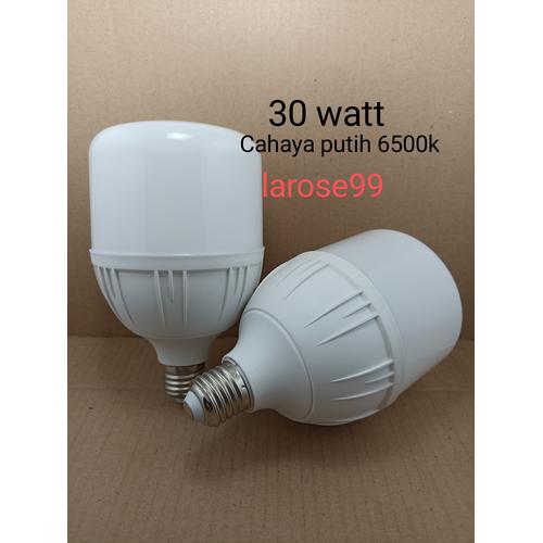 Jual Lampu LED Capsul 30 Watt Cool Day Light Cahaya Putih Bohlam LED ...
