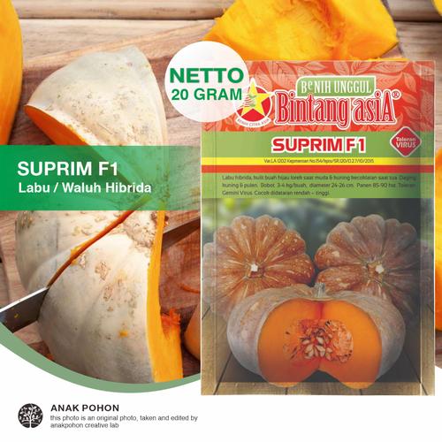 Jual (1 PACK) Benih Labu SUPRIM F1 Hibrida Labu Parang Kuning Pulen ...