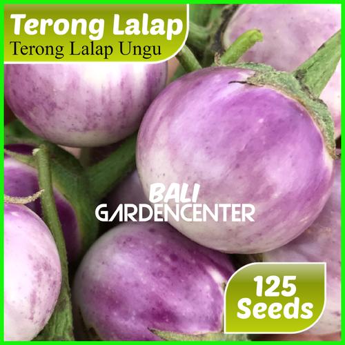 Jual Benih Biji Terong Lalap Bulat Ungu - Terong Lalap Unggul - Kab ...