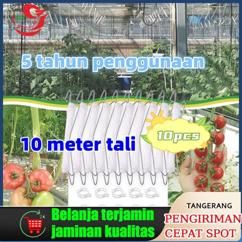 Jual 10pcs Alat kait taman kait/tomat tali kait/tomat alat tumbuh Truss ...