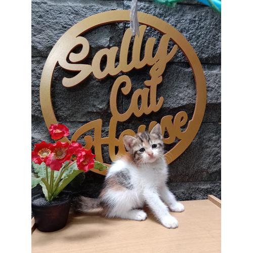 Jual Backdrop Nama Huruf Kayu 30-60 cm Frame Bingkai Lingkaran TANPA PO ...