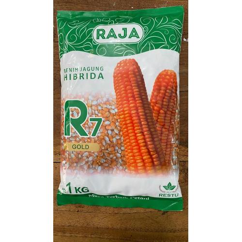 Jual Benih jagung hibrida R7 GOLD isi 1kg dari RAJA M - Kab. Bogor ...