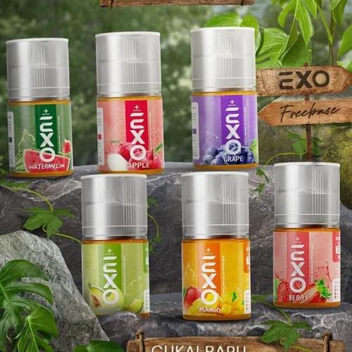 Jual Liquid EXO Exotic Mango Mangga Premium BY MONK 60ml nic 3mg ...